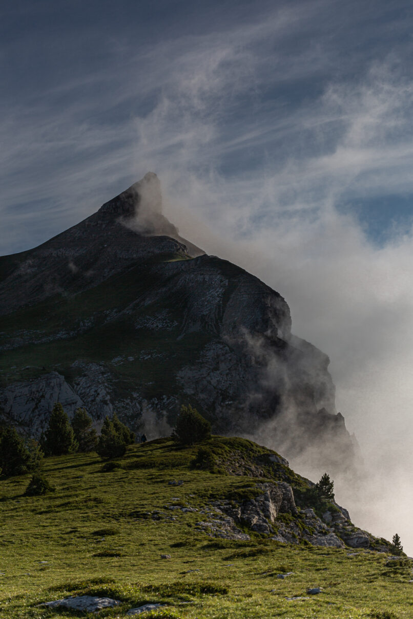 PHOTO FLOUTÉE - Un Autre Regard - Nature et photographie Mary-Joëlle ...
